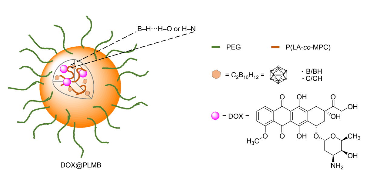 Boronated Polymers, Liposomes, and Other Nanoparticles as Boron ...