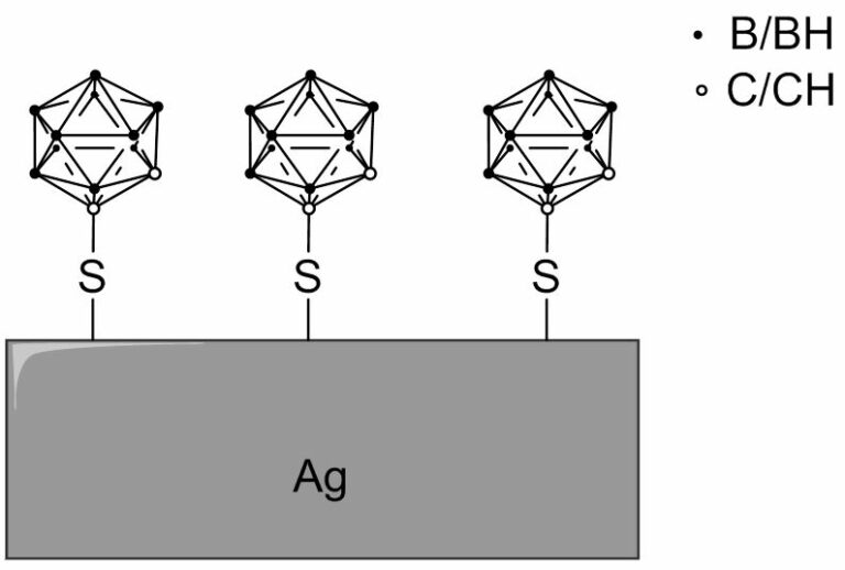 Boronated Polymers, Liposomes, and Other Nanoparticles as Boron ...